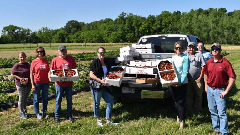 Maryland Food Bank - A Hunger Relief Non-Profit | Donate Now